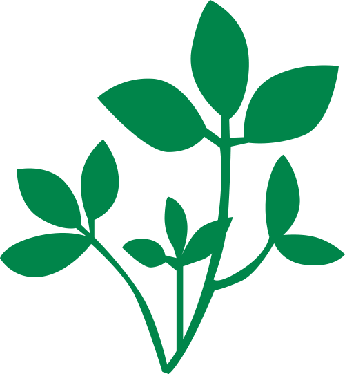 MURICI I2X - TMG - Petrovina Sementes